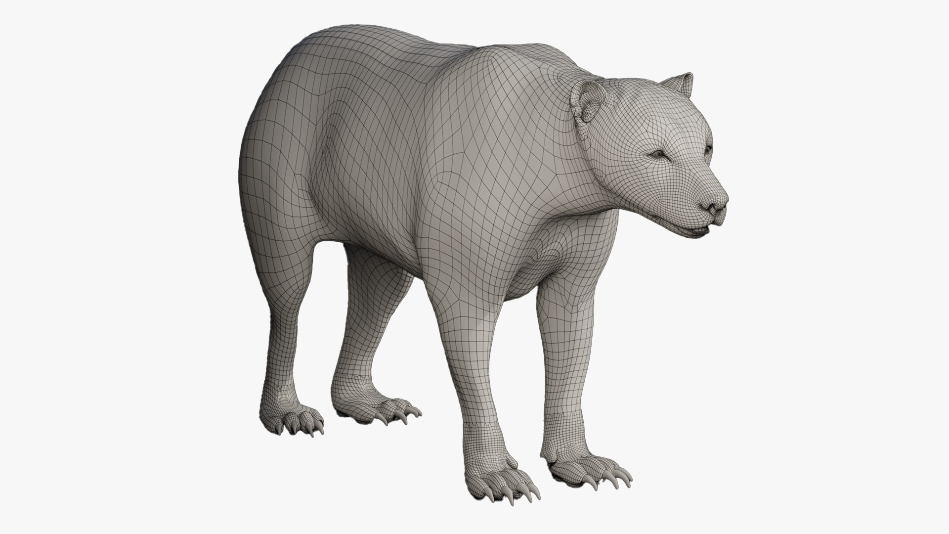 Brown Bear Blender Animated 3D Model - TurboSquid 2250647