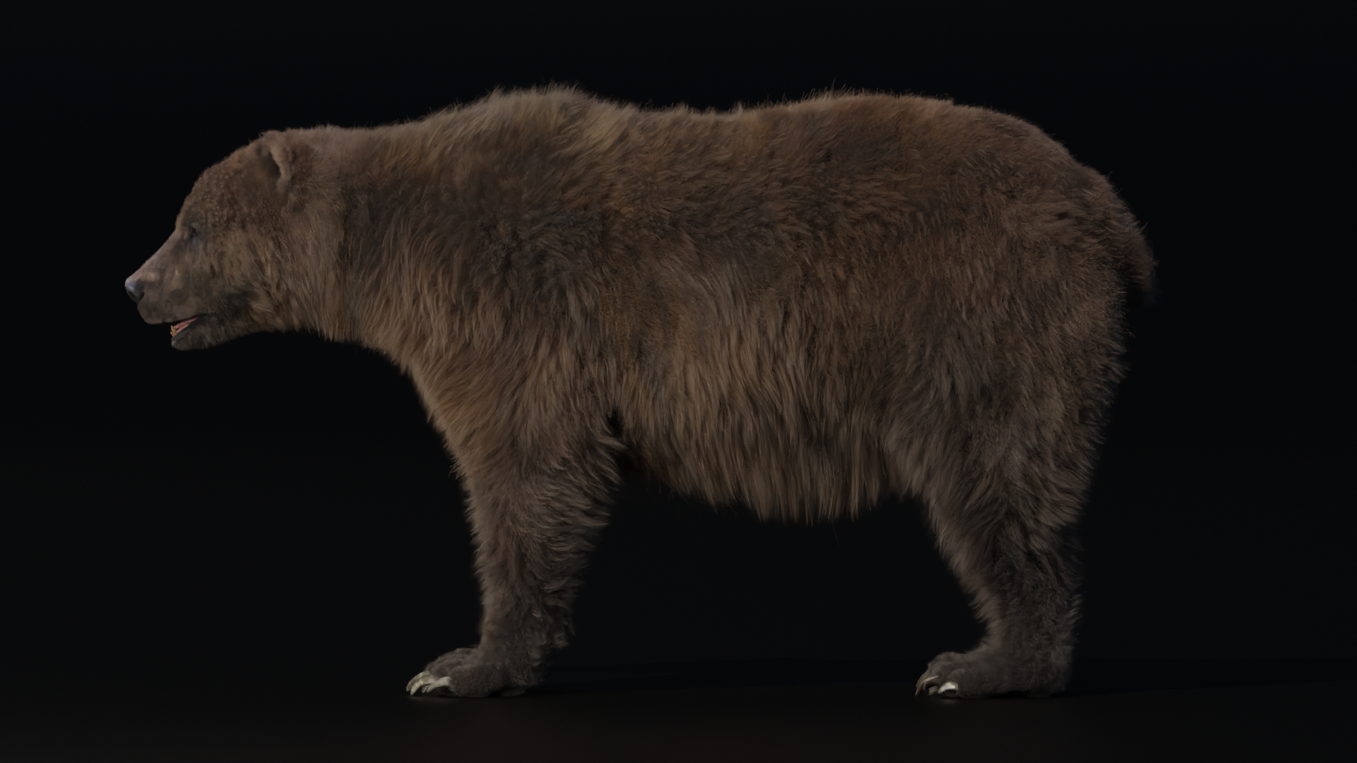 Brown Bear Blender Animated 3D Model - TurboSquid 2250647