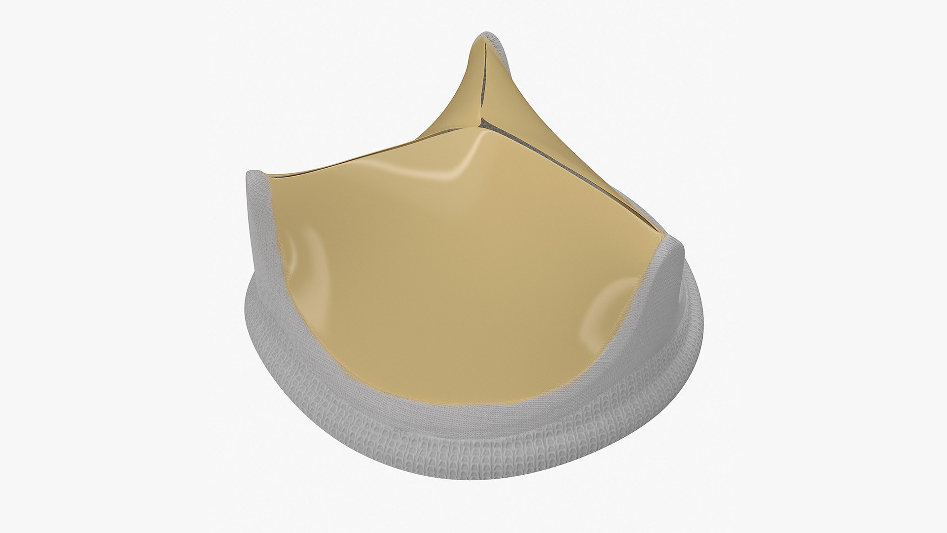 3D Stented Heart Valve - TurboSquid 1965639