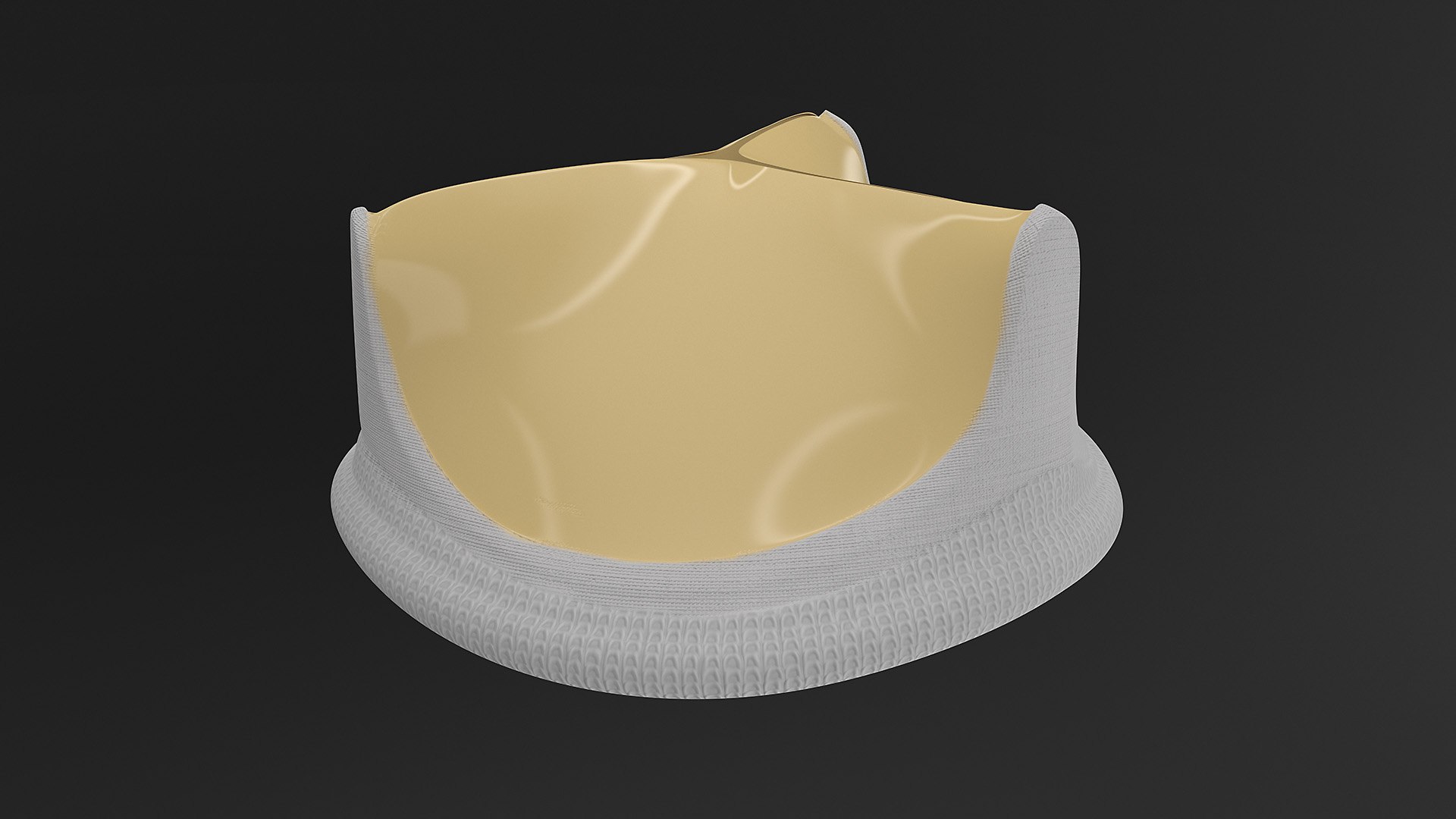 3D Stented Heart Valve - TurboSquid 1965639
