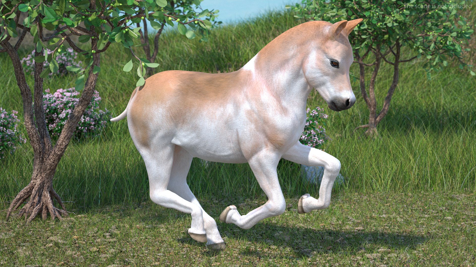 3D Realistic Shetland Pony Rigged Model - TurboSquid 2240514