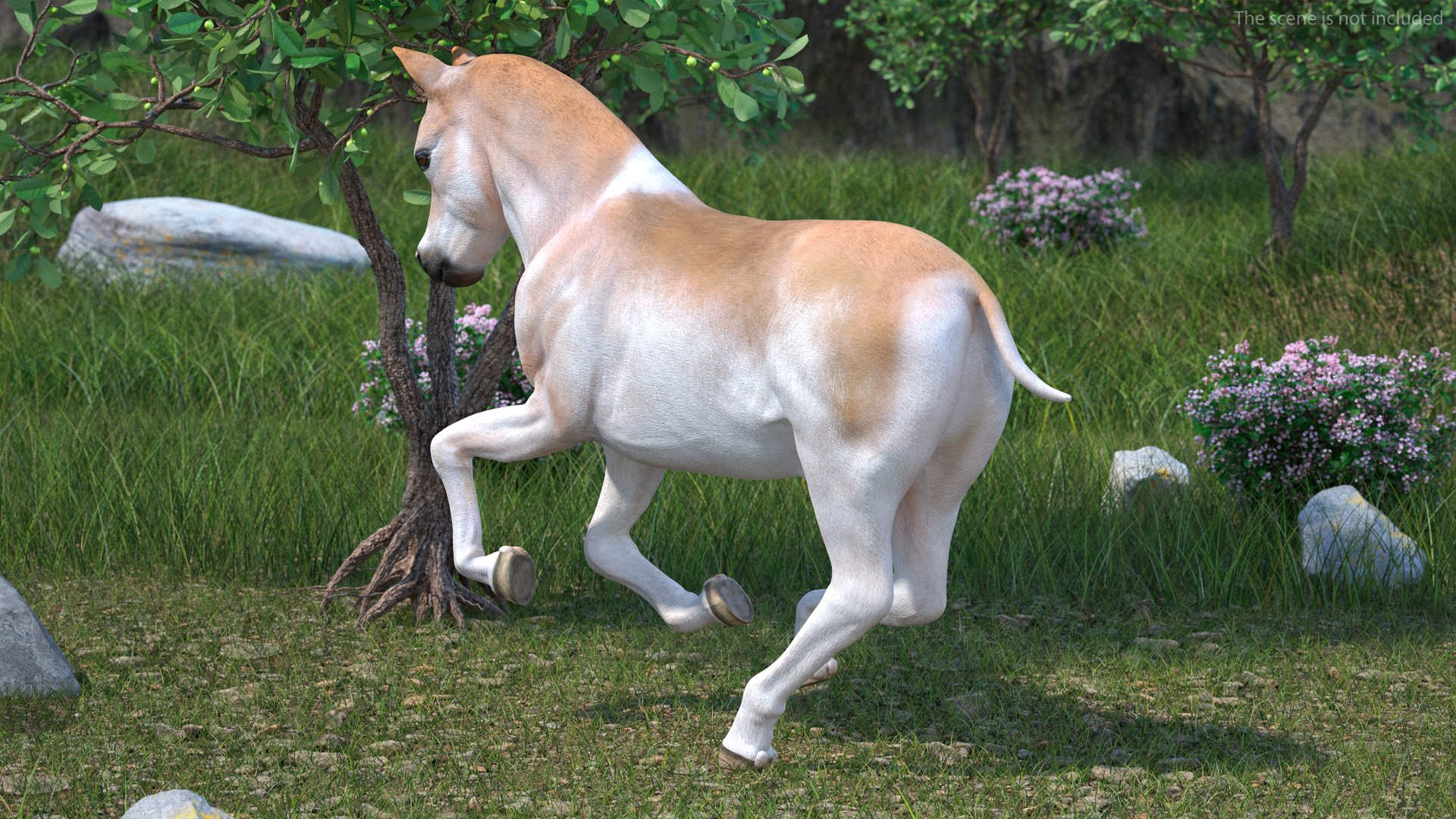 3D Realistic Shetland Pony Rigged Model - TurboSquid 2240514