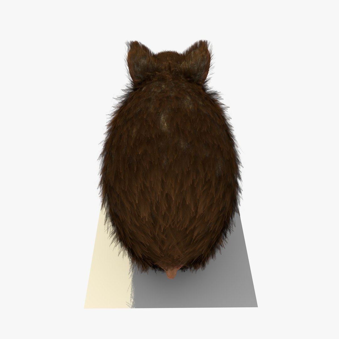 Brown Hamster Fur 3ds