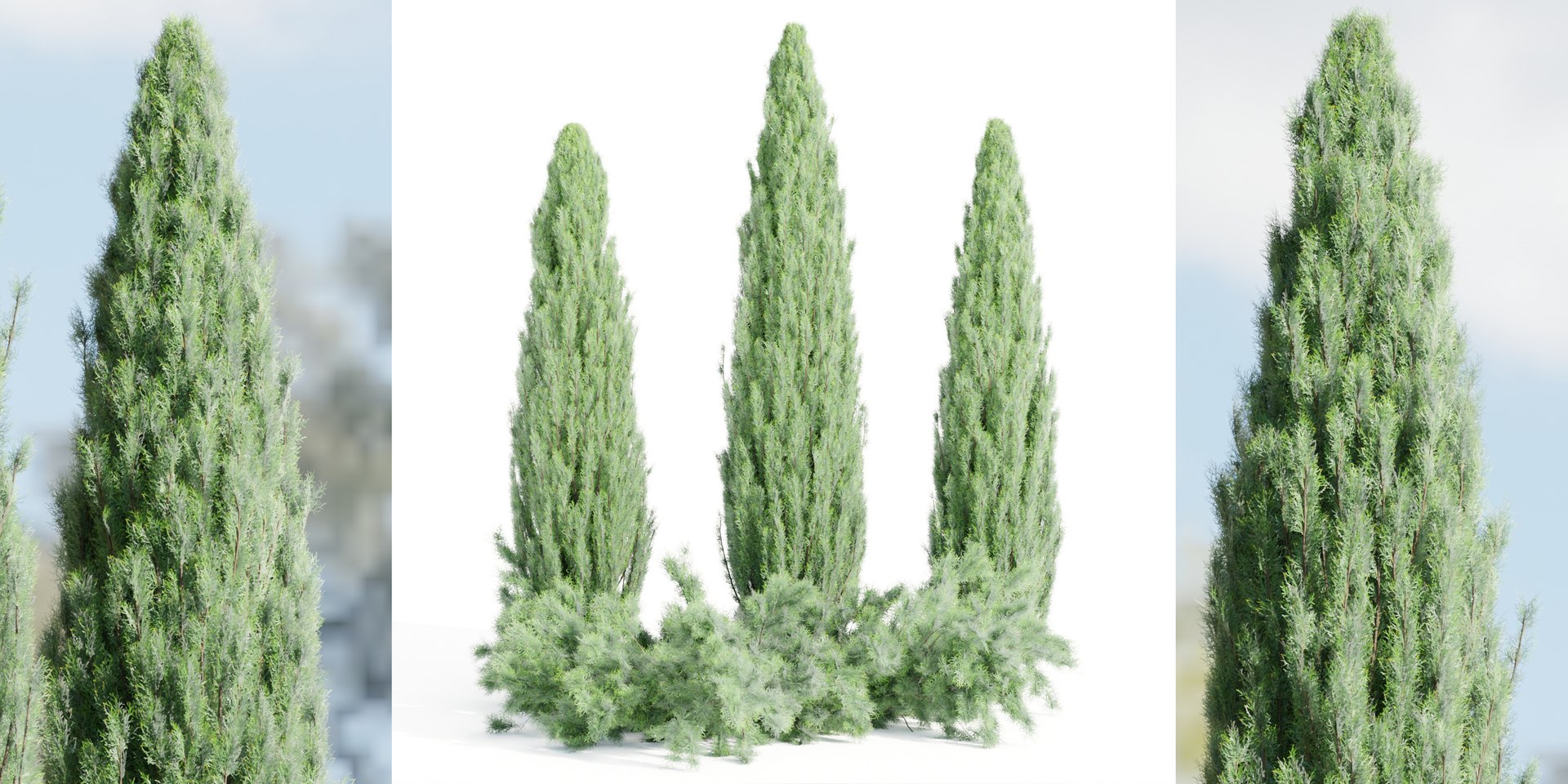 3D outdoor junipers collection vol 99-Blender - TurboSquid 2134646