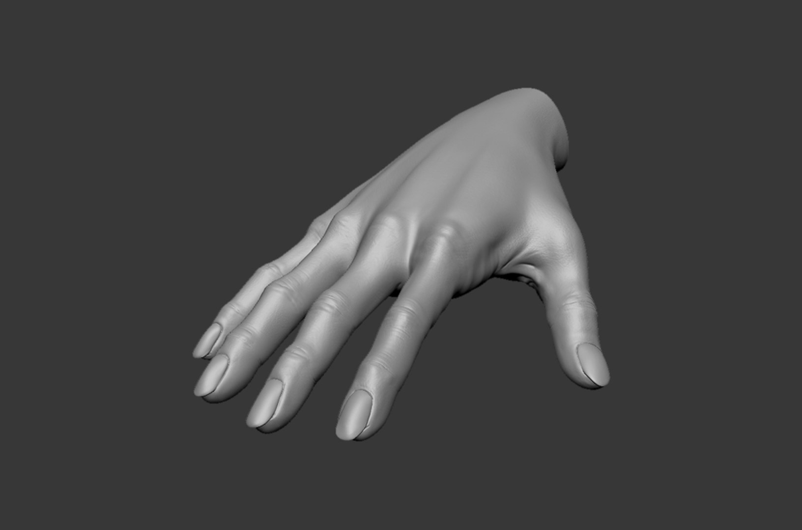 Realistic Female Hand 3D Model - TurboSquid 1419271
