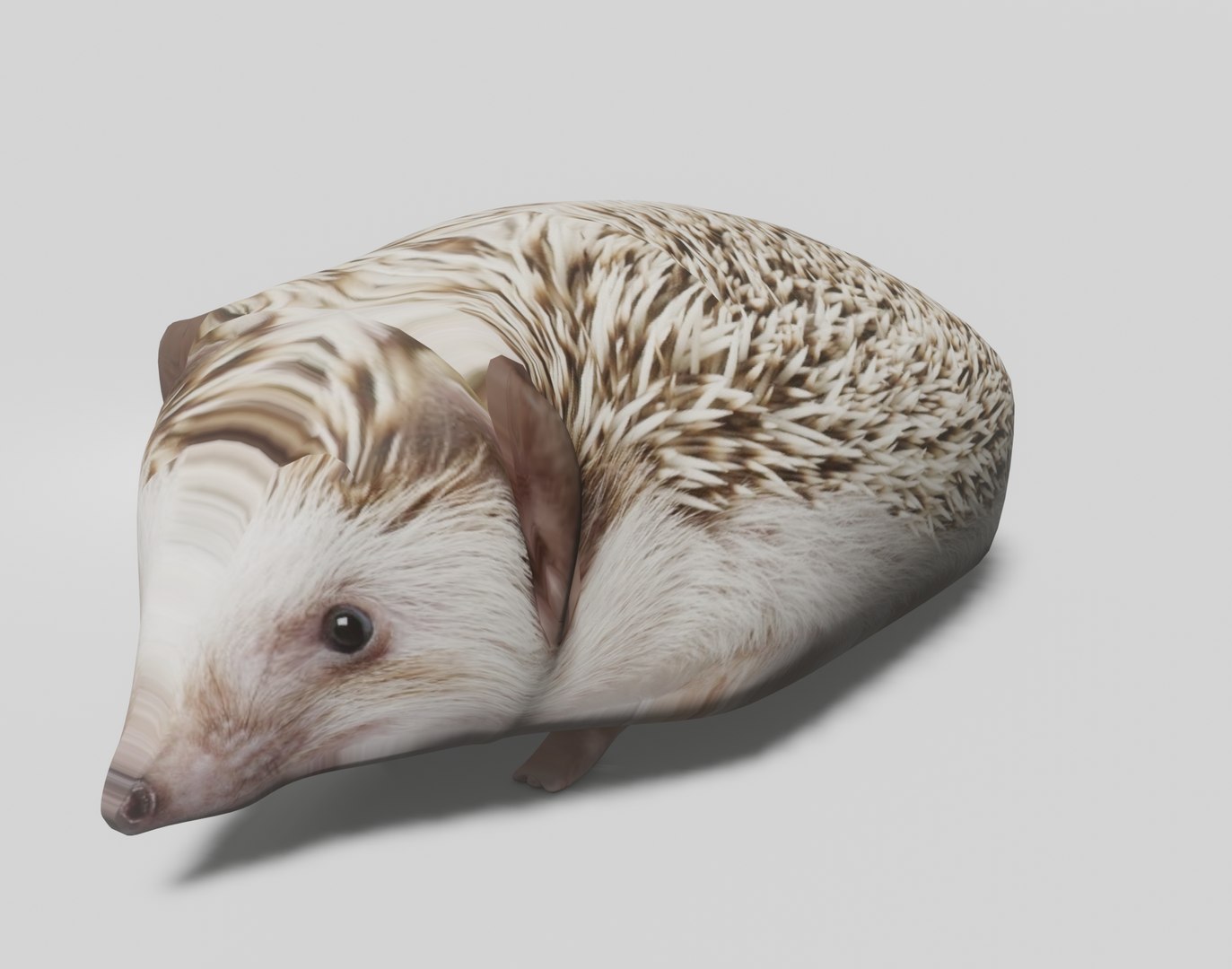 Realistic Hedgehog OBJ 3D Model - TurboSquid 2001724