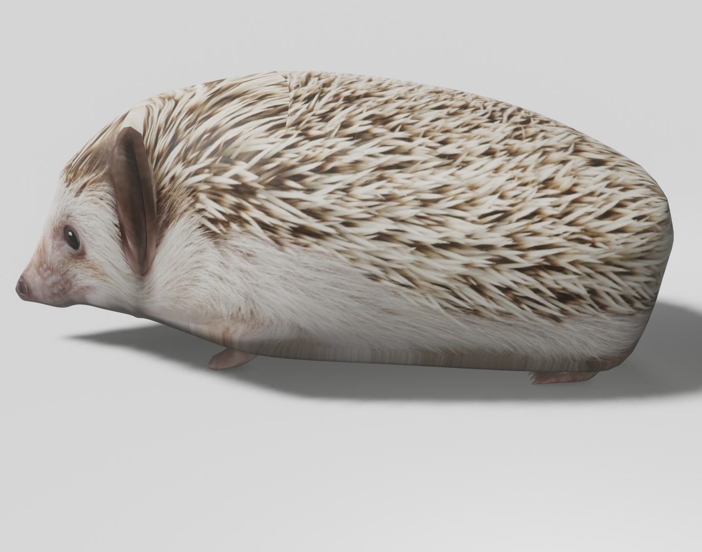 Realistic Hedgehog OBJ 3D Model - TurboSquid 2001724