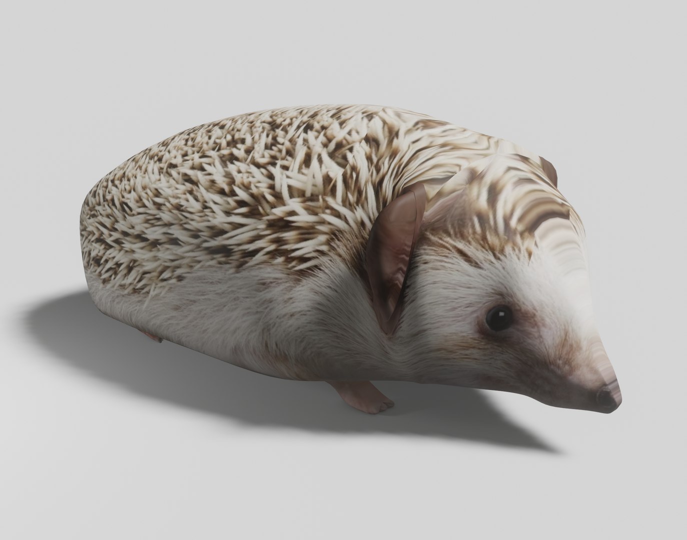 Realistic Hedgehog OBJ 3D Model - TurboSquid 2001724