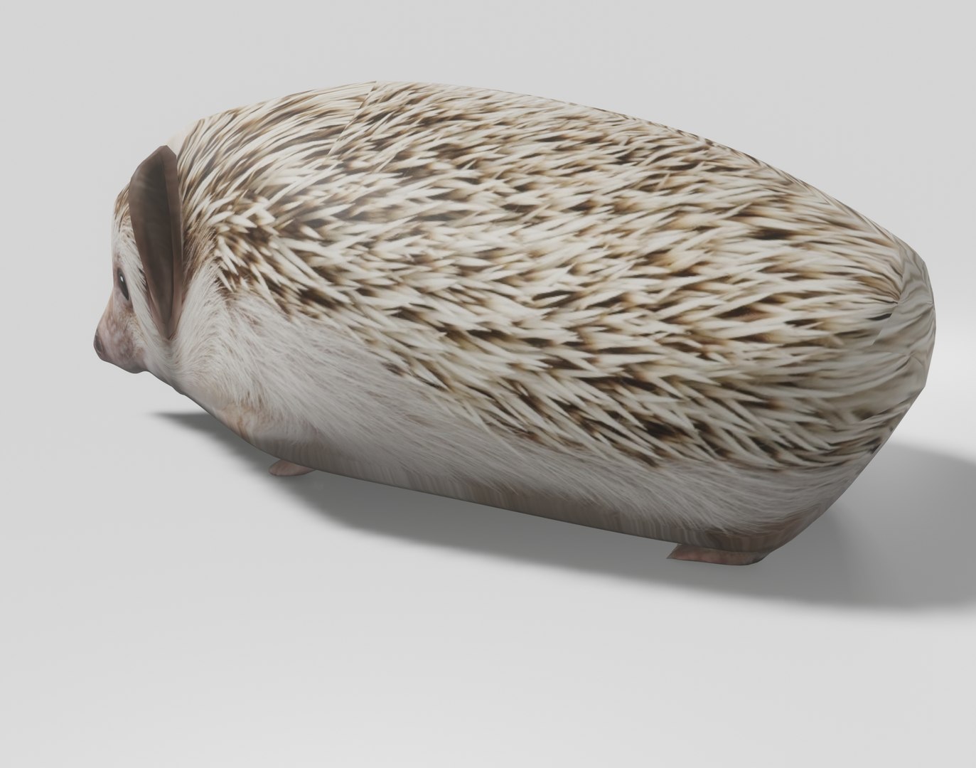 Realistic Hedgehog OBJ 3D Model - TurboSquid 2001724