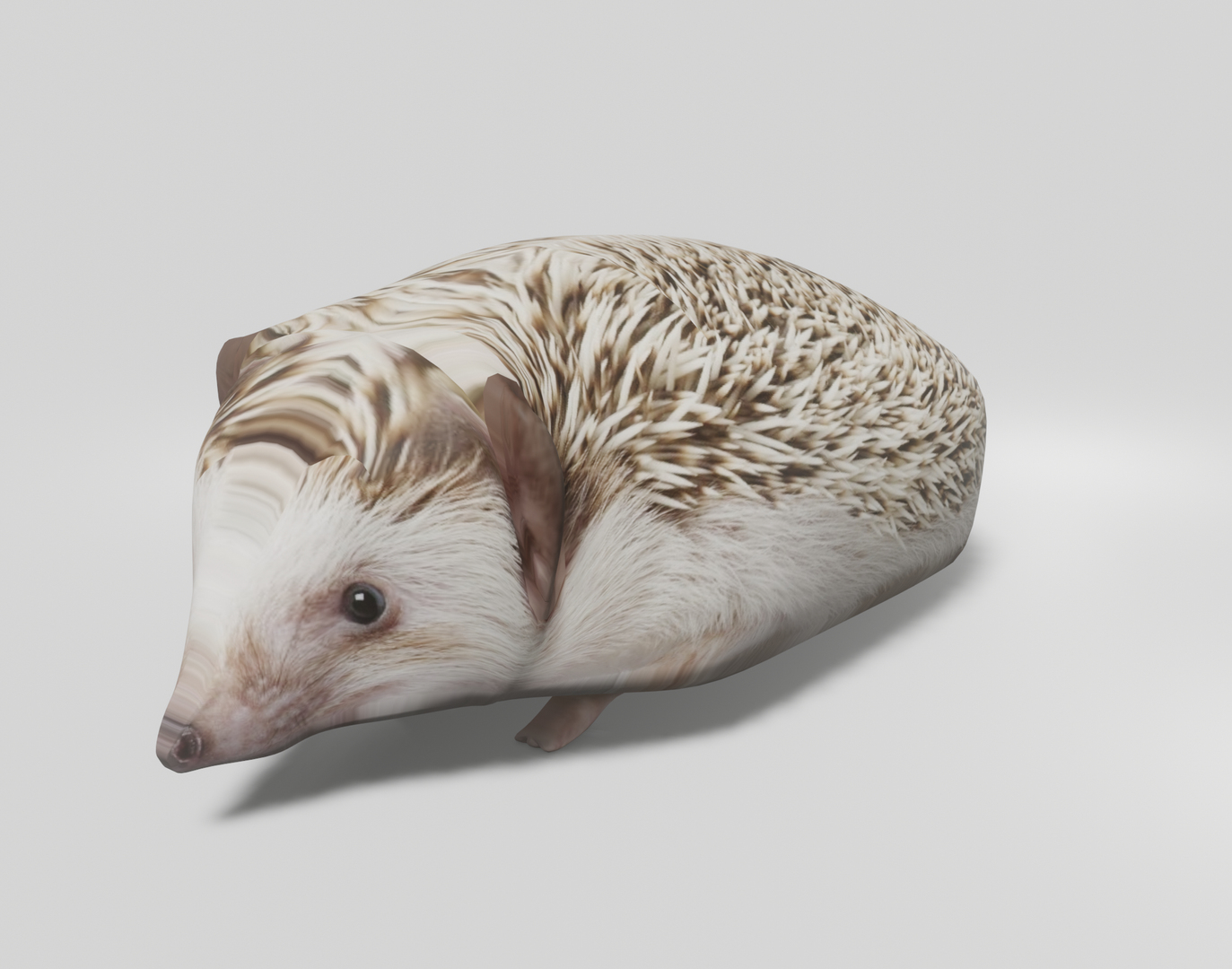 Realistic Hedgehog OBJ 3D Model - TurboSquid 2001724