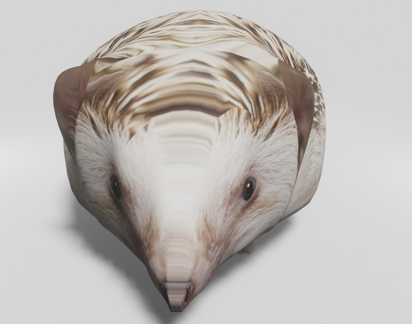 Realistic Hedgehog OBJ 3D Model - TurboSquid 2001724