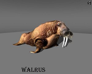 walrus blend