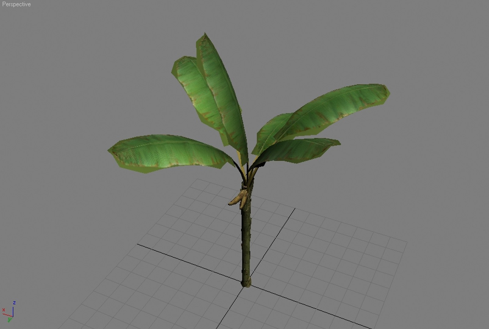 3D Banana Tree Model - TurboSquid 384459