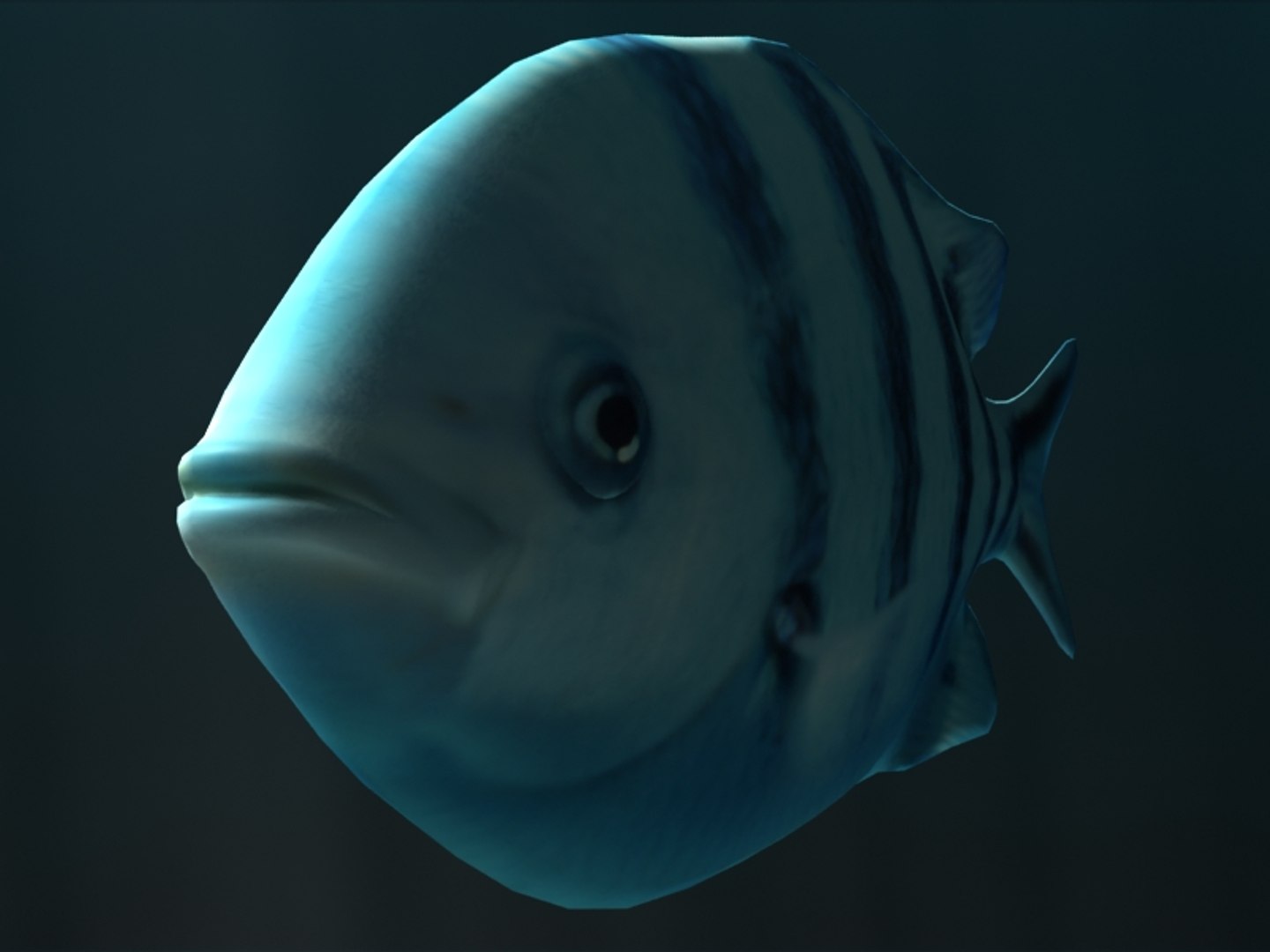 stripey fish 3d model