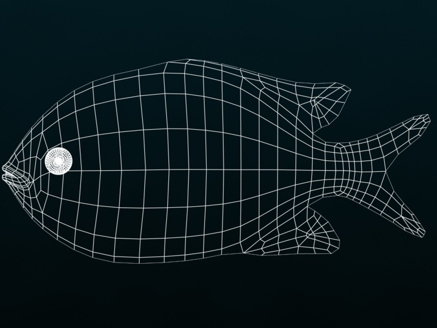 stripey fish 3d model