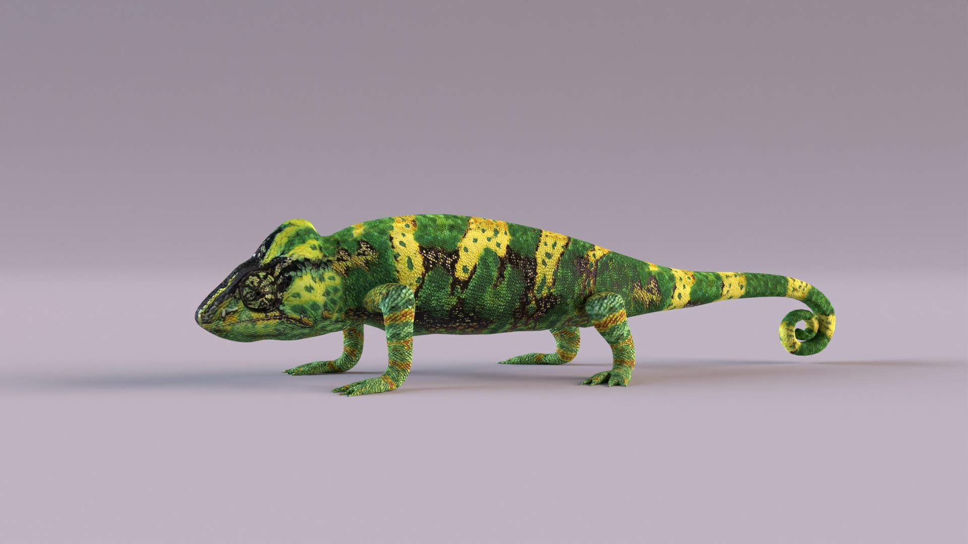 Lizards model - TurboSquid 2067693