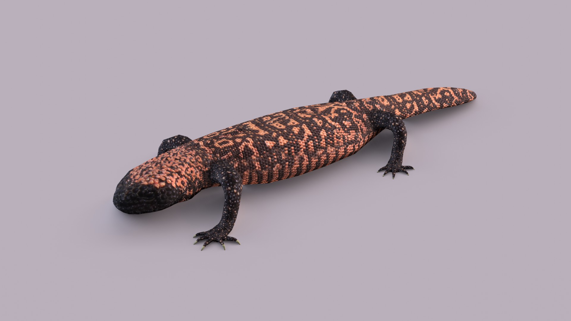 Lizards model - TurboSquid 2067693