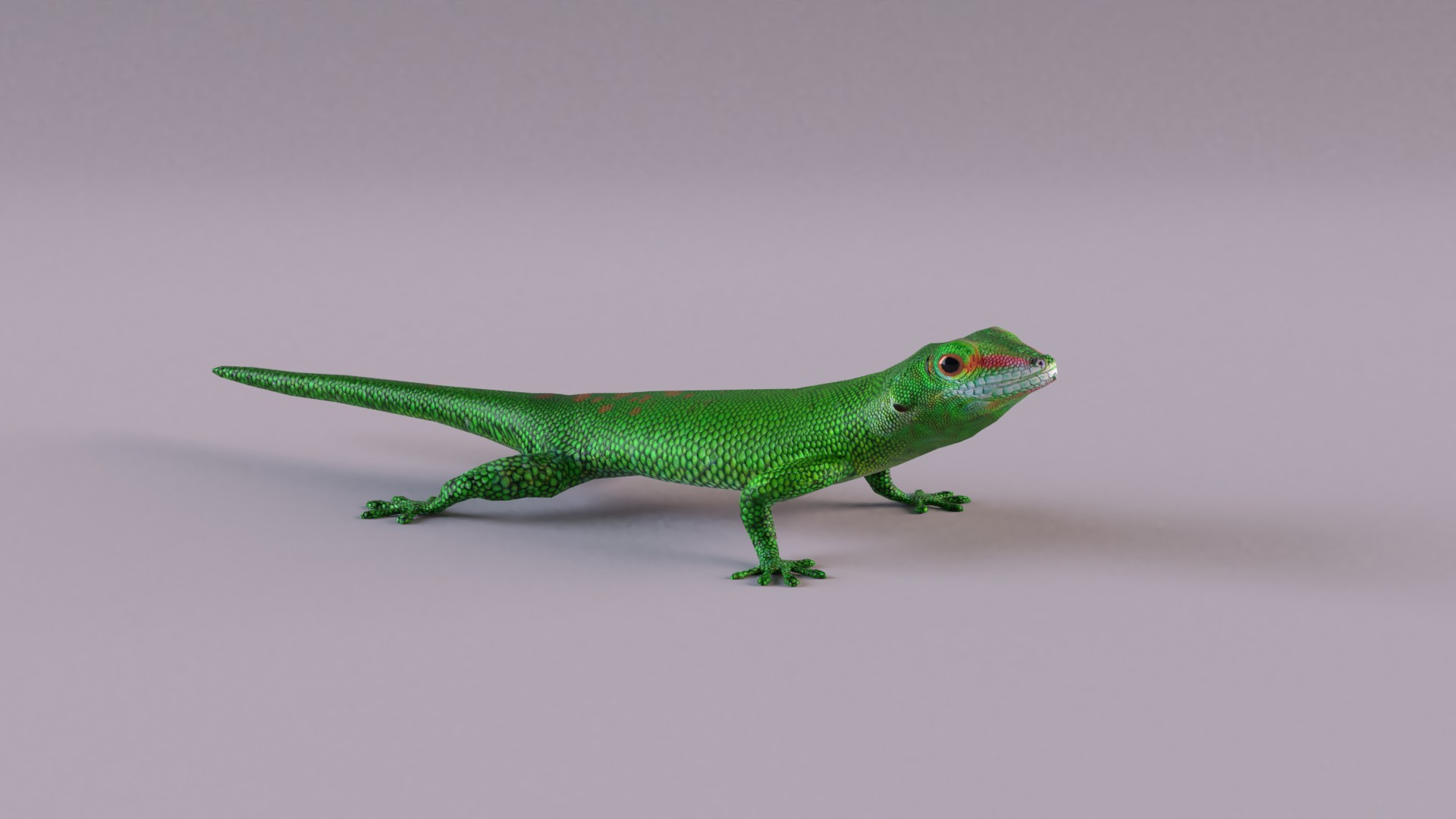 Lizards Model - TurboSquid 2067693