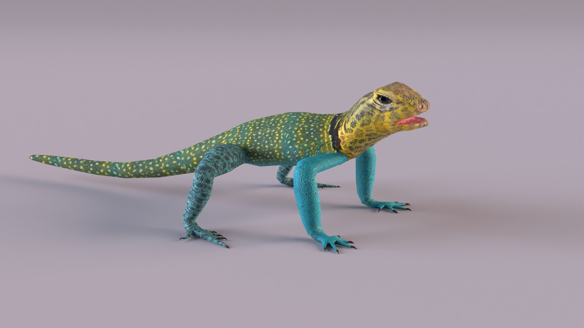 Lizards Model - TurboSquid 2067693