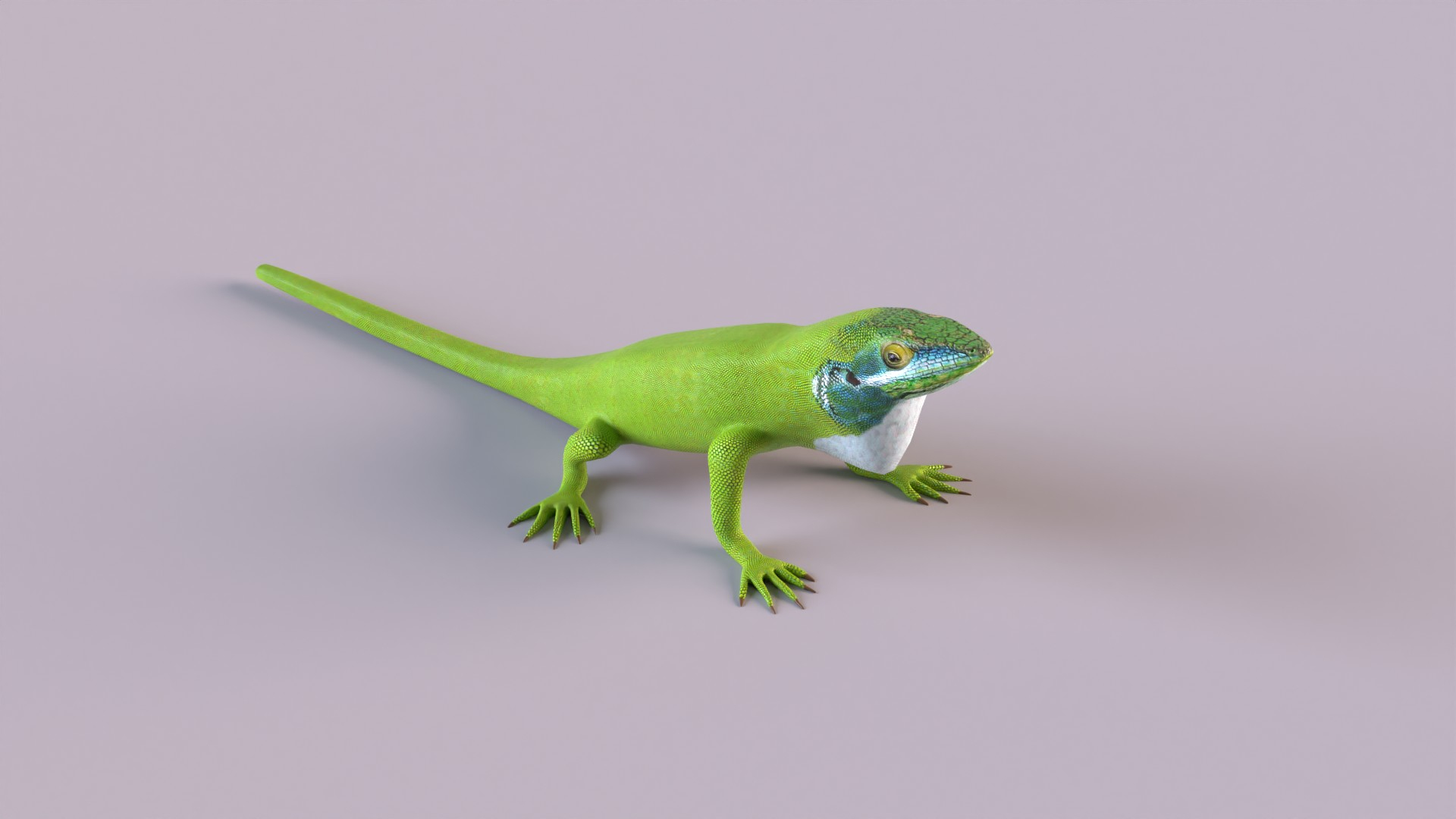 Lizards model - TurboSquid 2067693