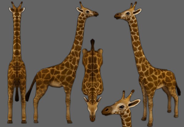 Giraffe low-poly 3D - TurboSquid 1461585