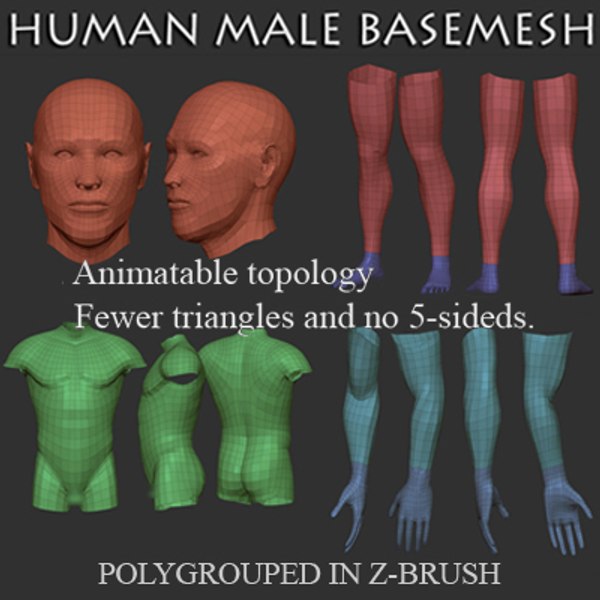 humanmale basemesh human male 3d model