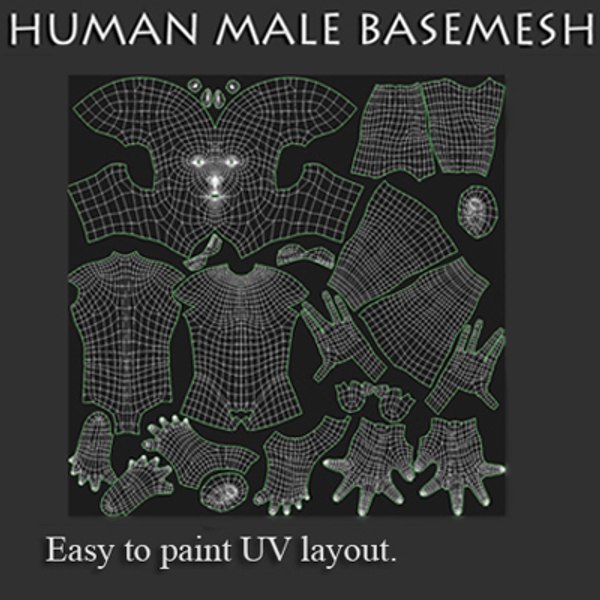 humanmale basemesh human male 3d model