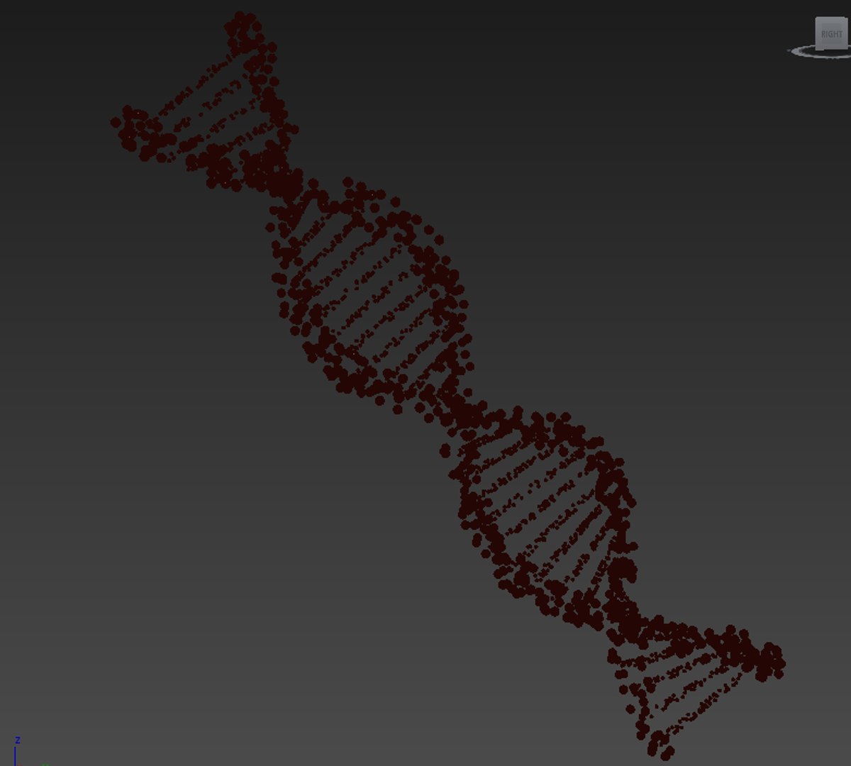 3d Dna