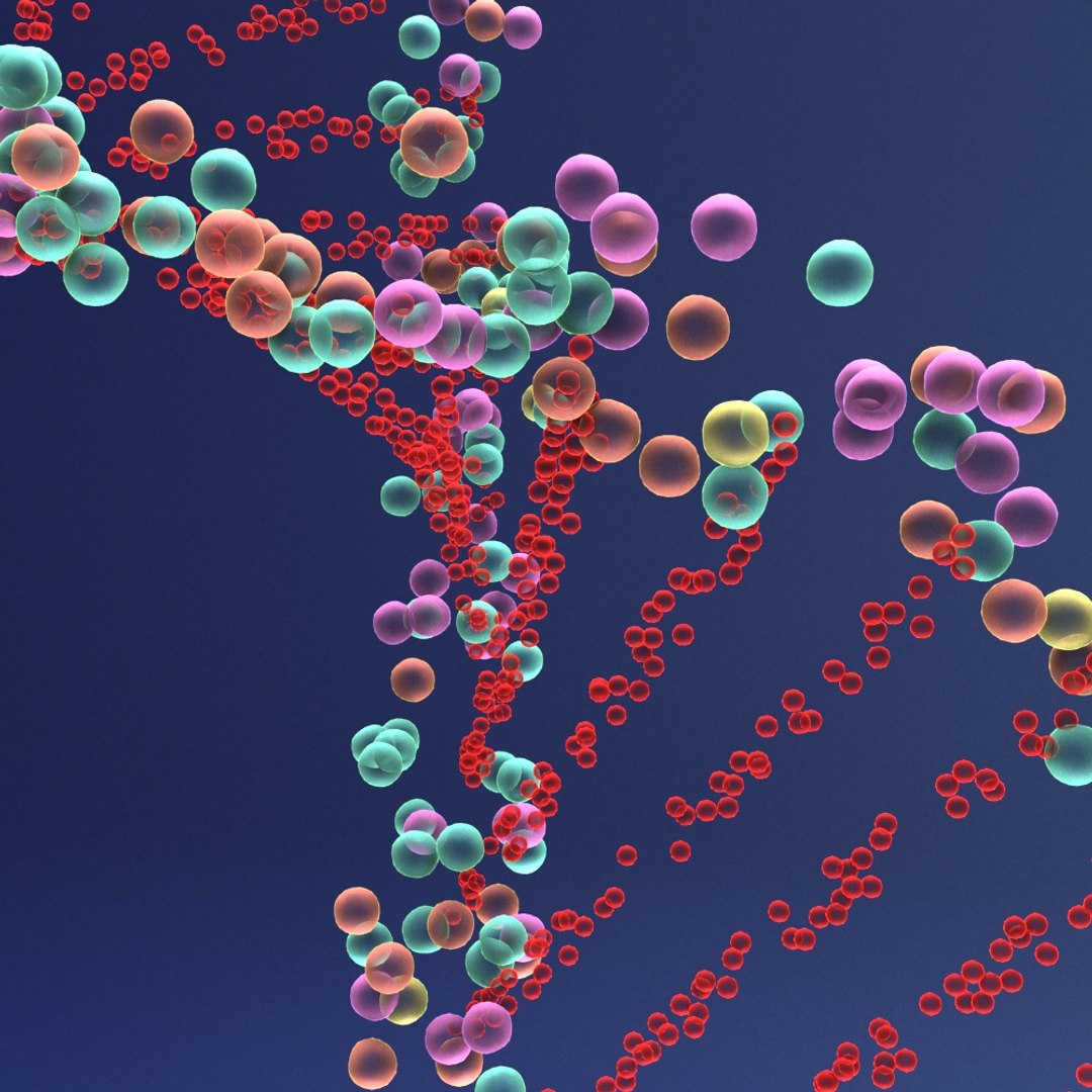 3d Dna