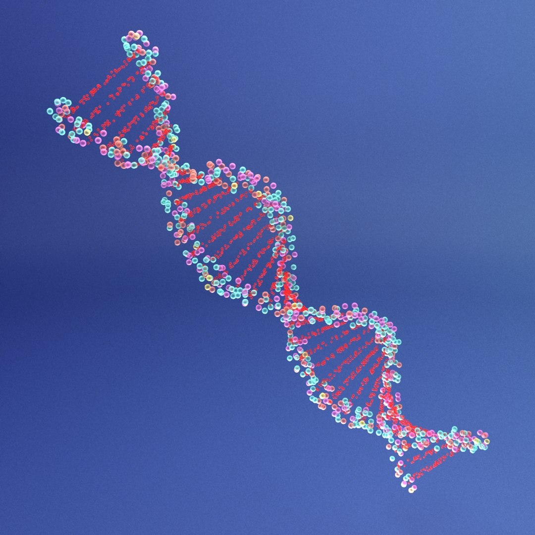 3d Dna