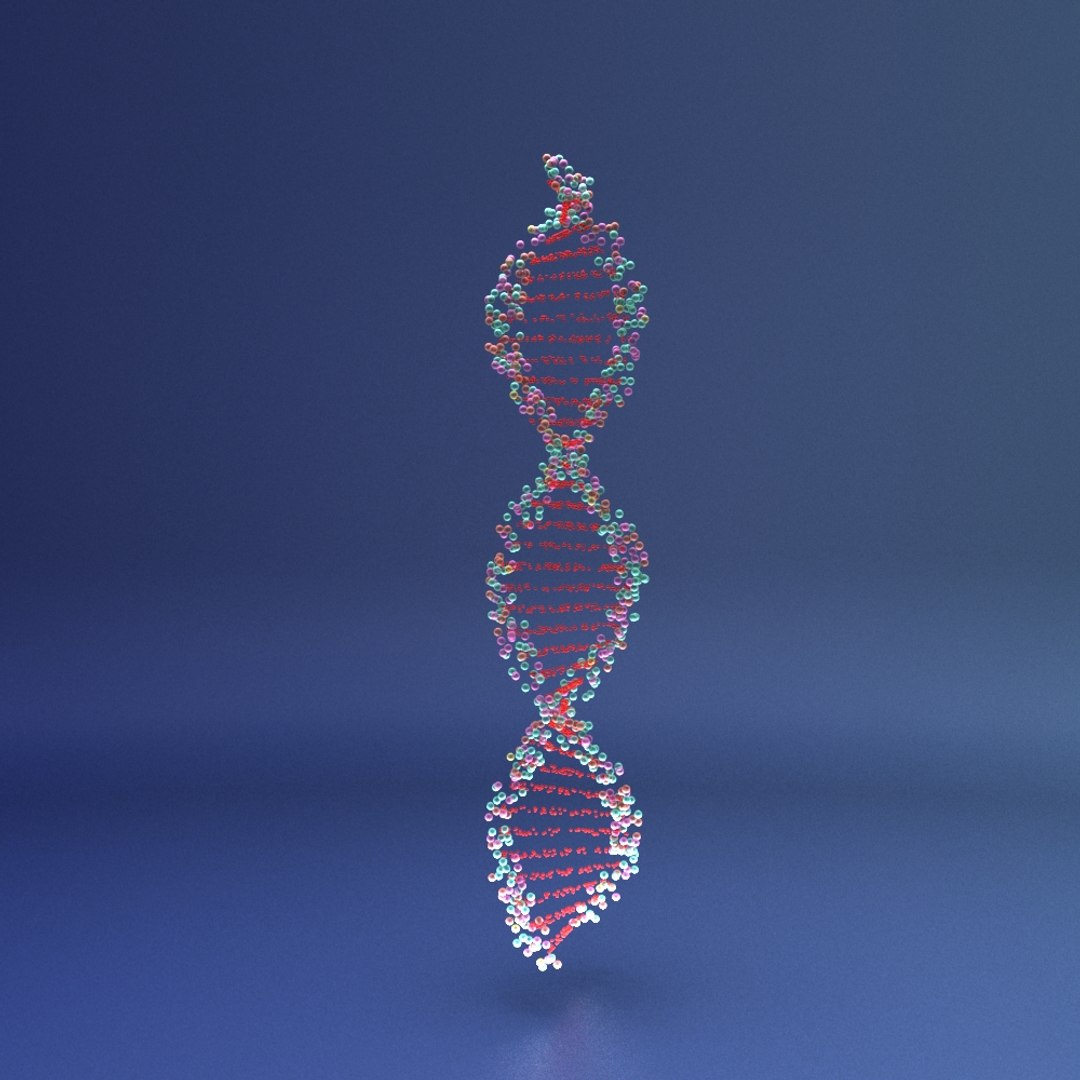 3d Dna