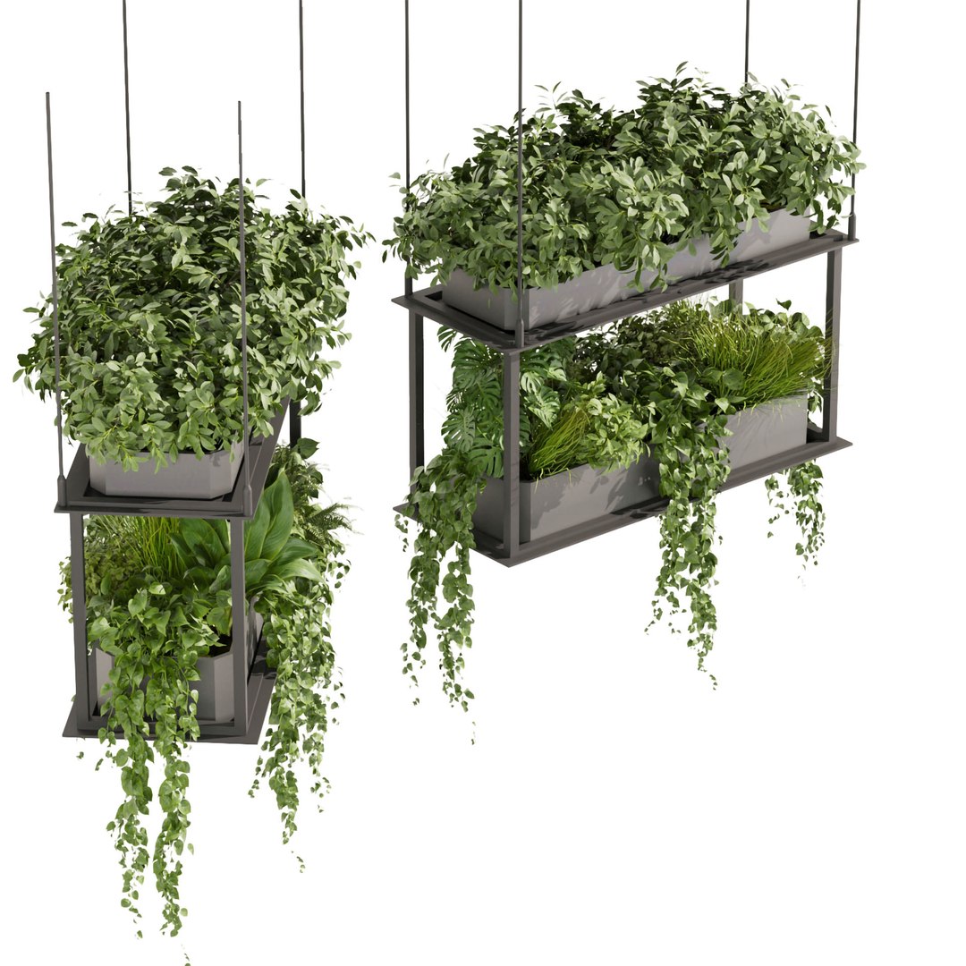 3D Collection Plant Vol 470 - Hanging - Palm - Pothos - Ampelous ...