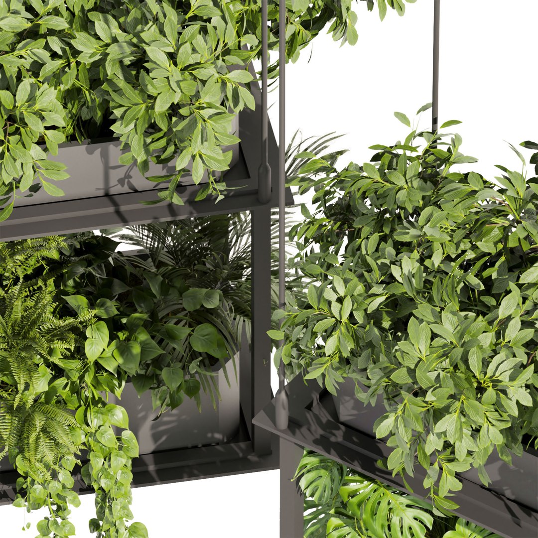 3D Collection Plant Vol 470 - Hanging - Palm - Pothos - Ampelous ...