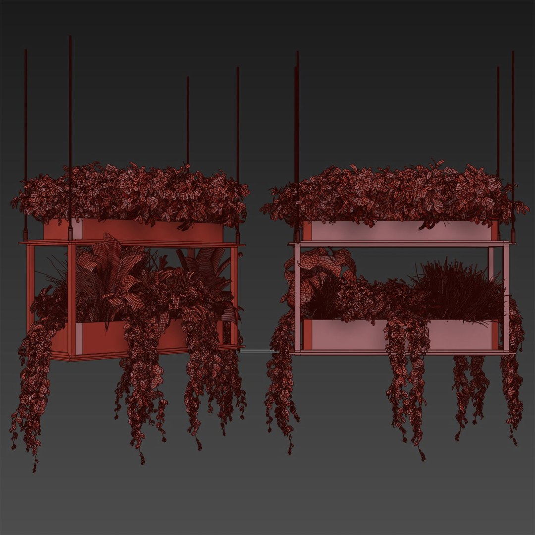 3D Collection Plant Vol 470 - Hanging - Palm - Pothos - Ampelous ...