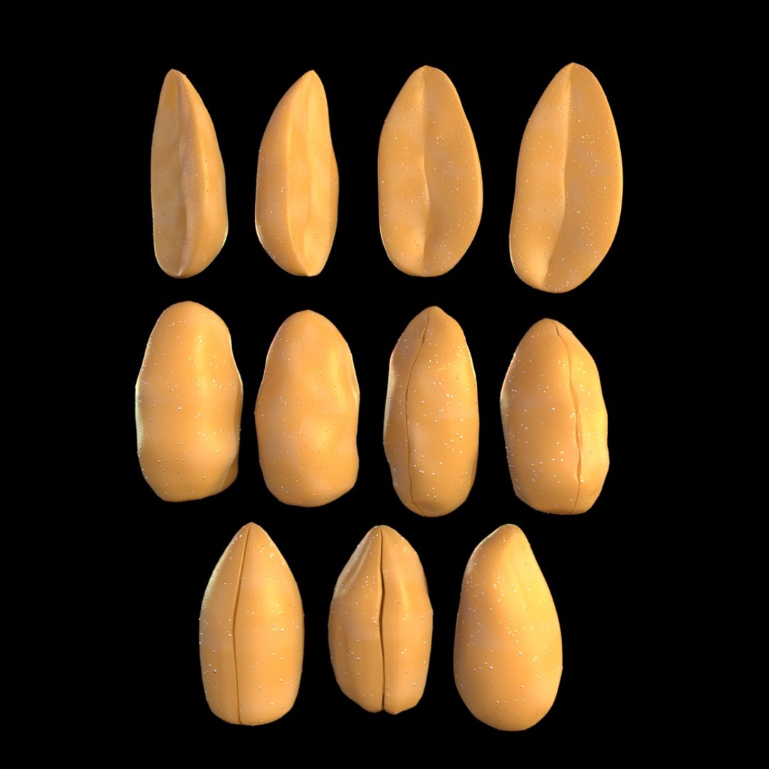 3D Roasted Salty Model - TurboSquid 1352978