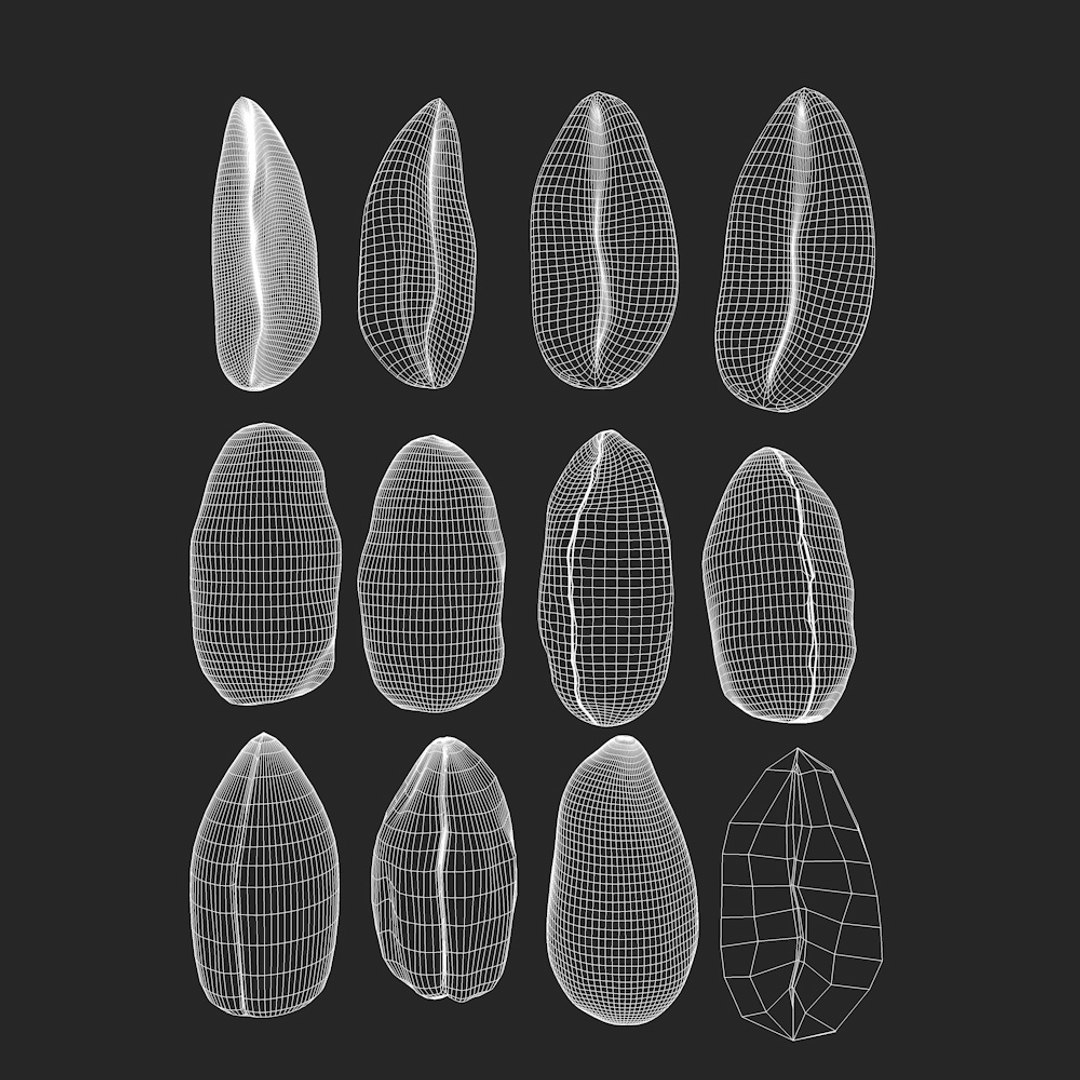 3D Roasted Salty Model - TurboSquid 1352978