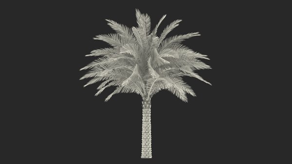 modelo 3d Palma datilera de plata - TurboSquid 1485665
