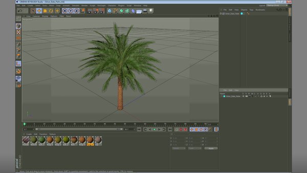 modelo 3d Palma datilera de plata - TurboSquid 1485665