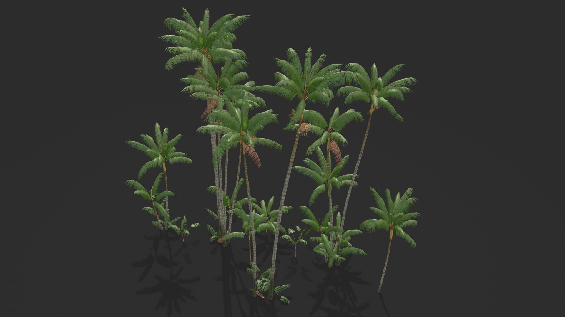 3D Modular Assai Palm Trees - Euterpe Oleracea Model - TurboSquid 2245071