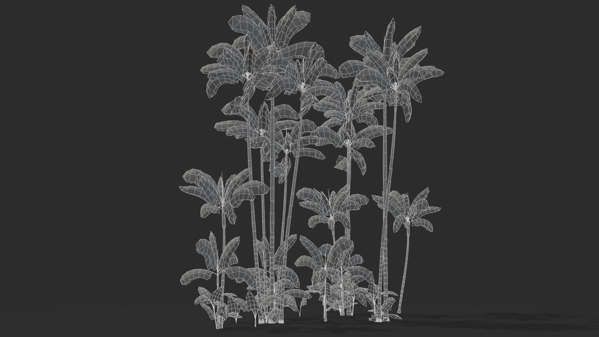 3D Modular Assai Palm Trees - Euterpe Oleracea Model - TurboSquid 2245071