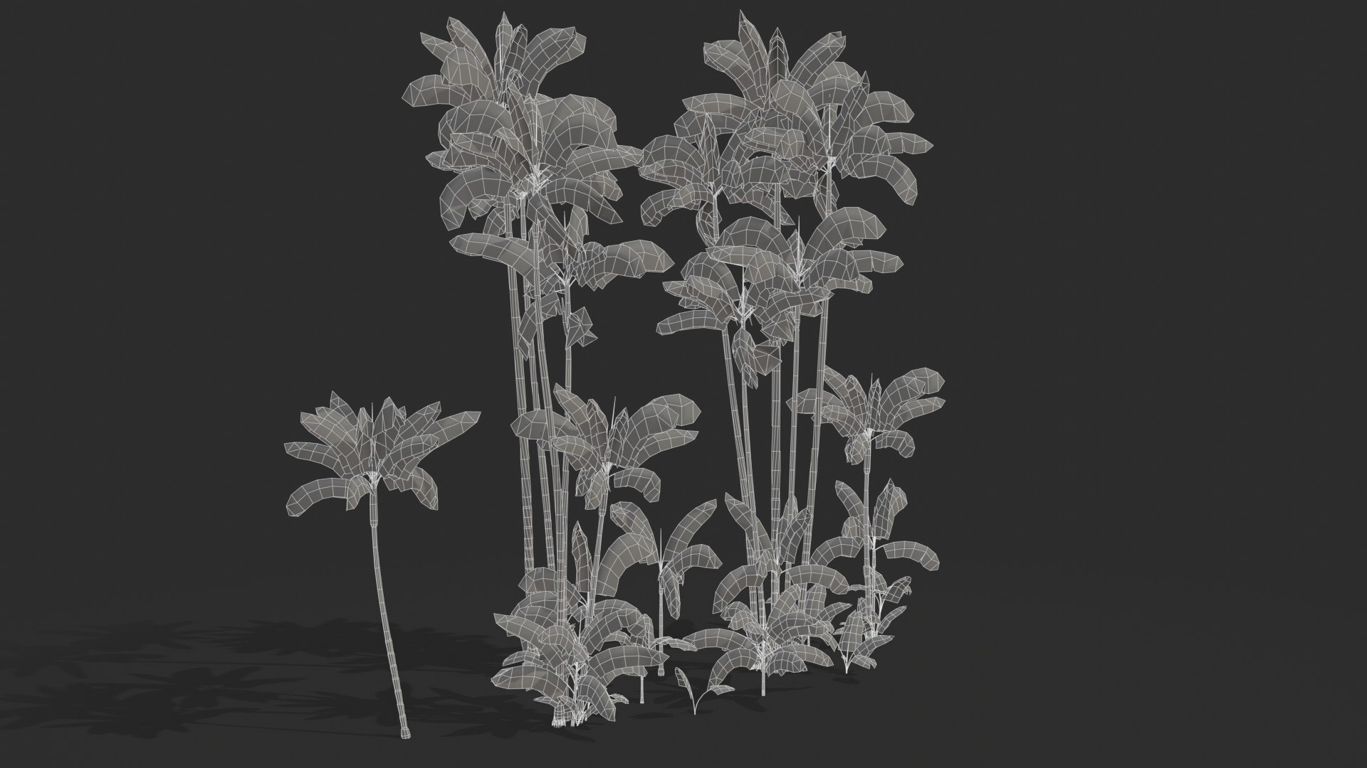 3D Modular Assai Palm Trees - Euterpe Oleracea Model - TurboSquid 2245071
