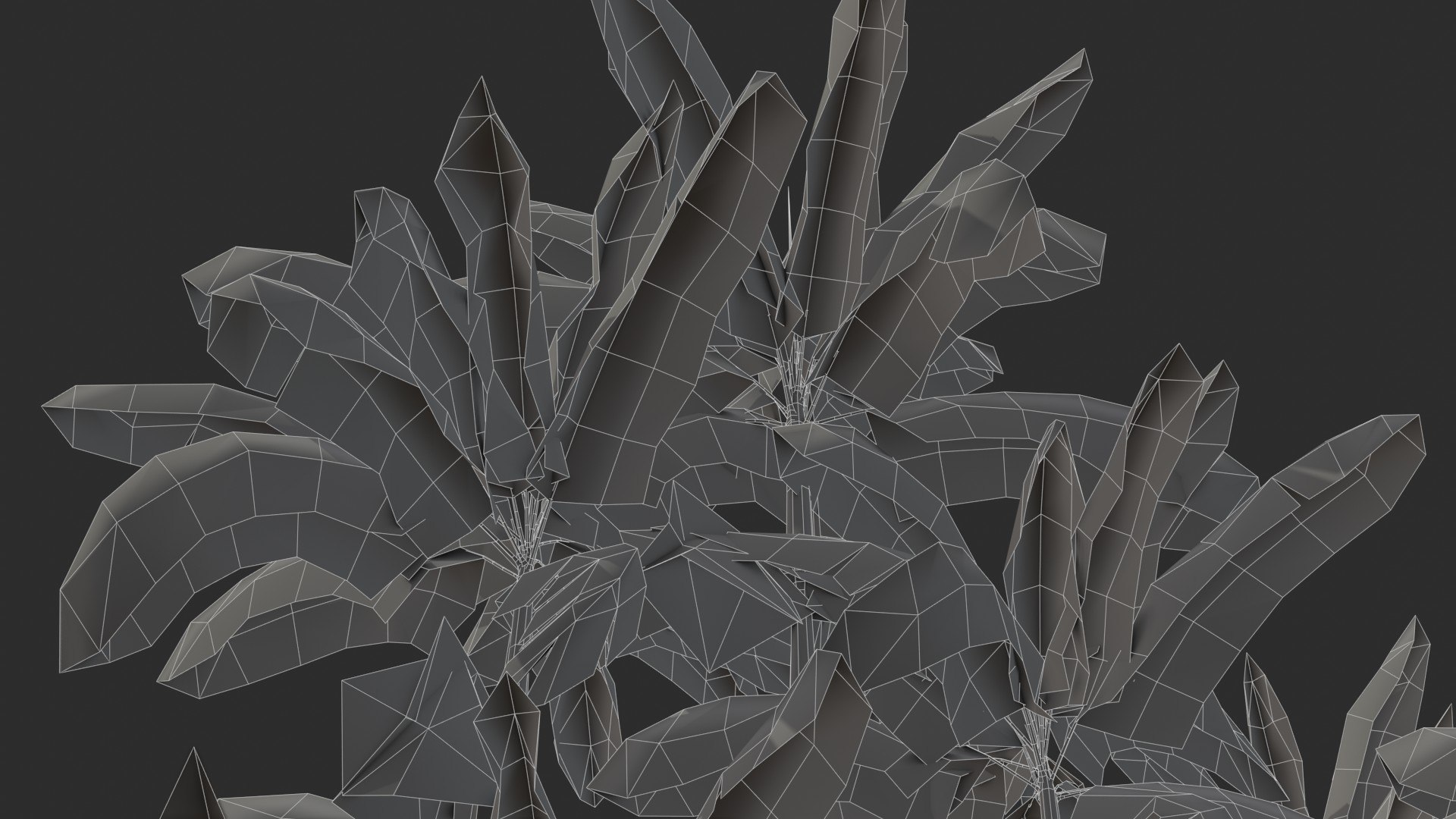 3D Modular Assai Palm Trees - Euterpe Oleracea Model - TurboSquid 2245071