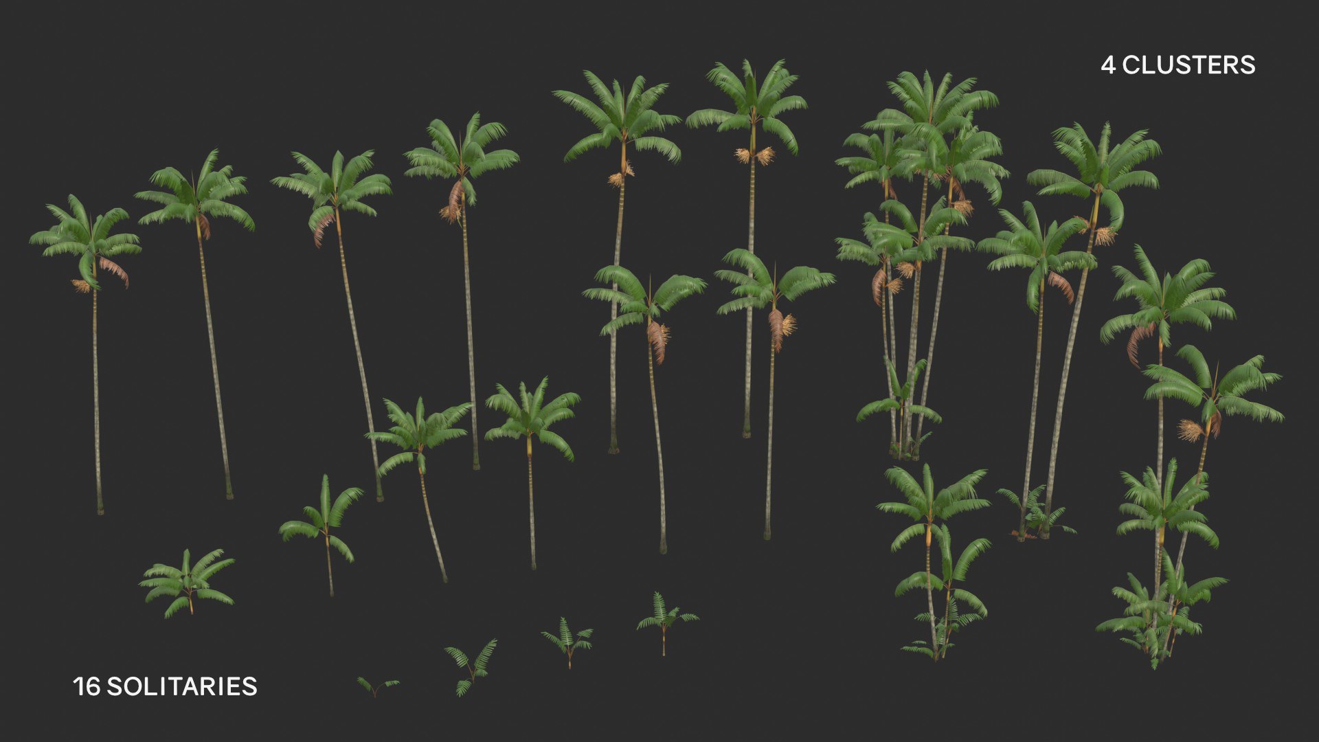3D Modular Assai Palm Trees - Euterpe Oleracea Model - TurboSquid 2245071