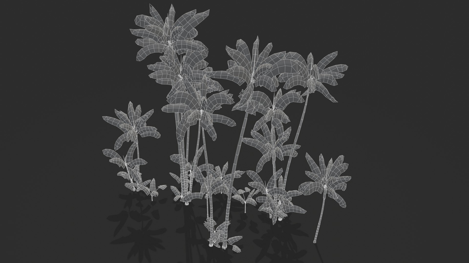 3D Modular Assai Palm Trees - Euterpe Oleracea Model - TurboSquid 2245071