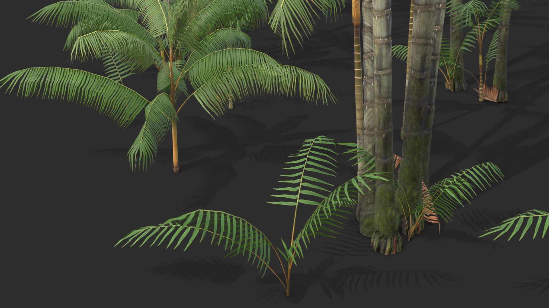 3D Modular Assai Palm Trees - Euterpe Oleracea Model - TurboSquid 2245071