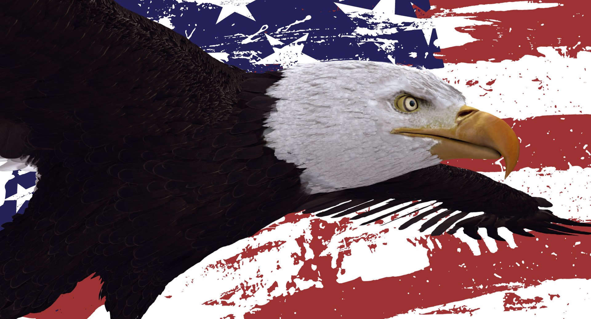 3d bald eagle t pose model