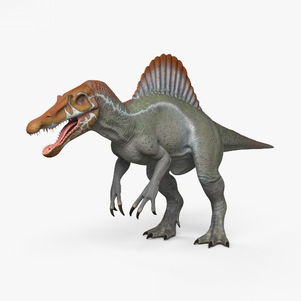 Spinosaurus 3D Models for Download | TurboSquid