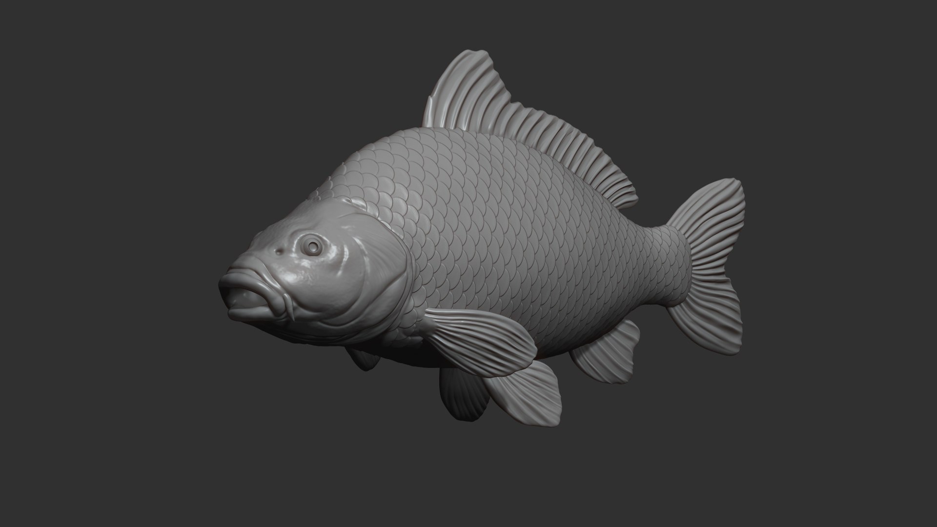 3D Carp Fish On The Base Model - TurboSquid 2229287