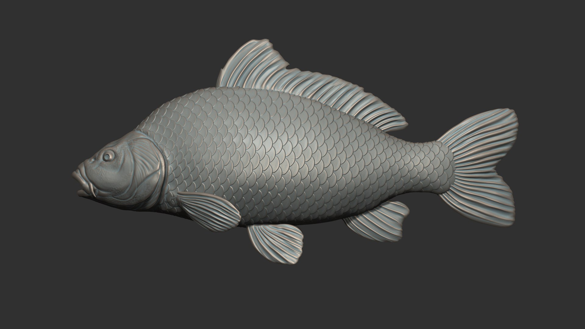 3D Carp Fish On The Base Model - TurboSquid 2229287