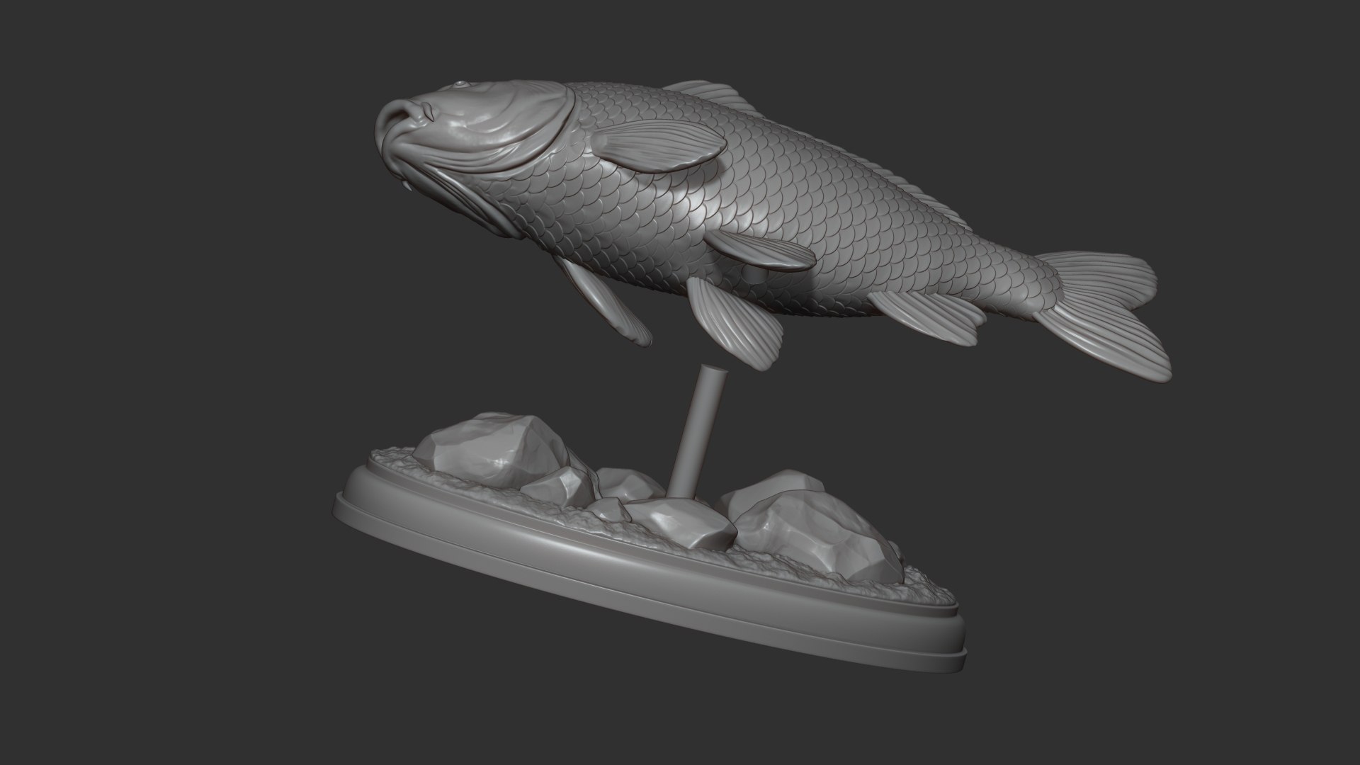 3D Carp Fish On The Base Model - TurboSquid 2229287